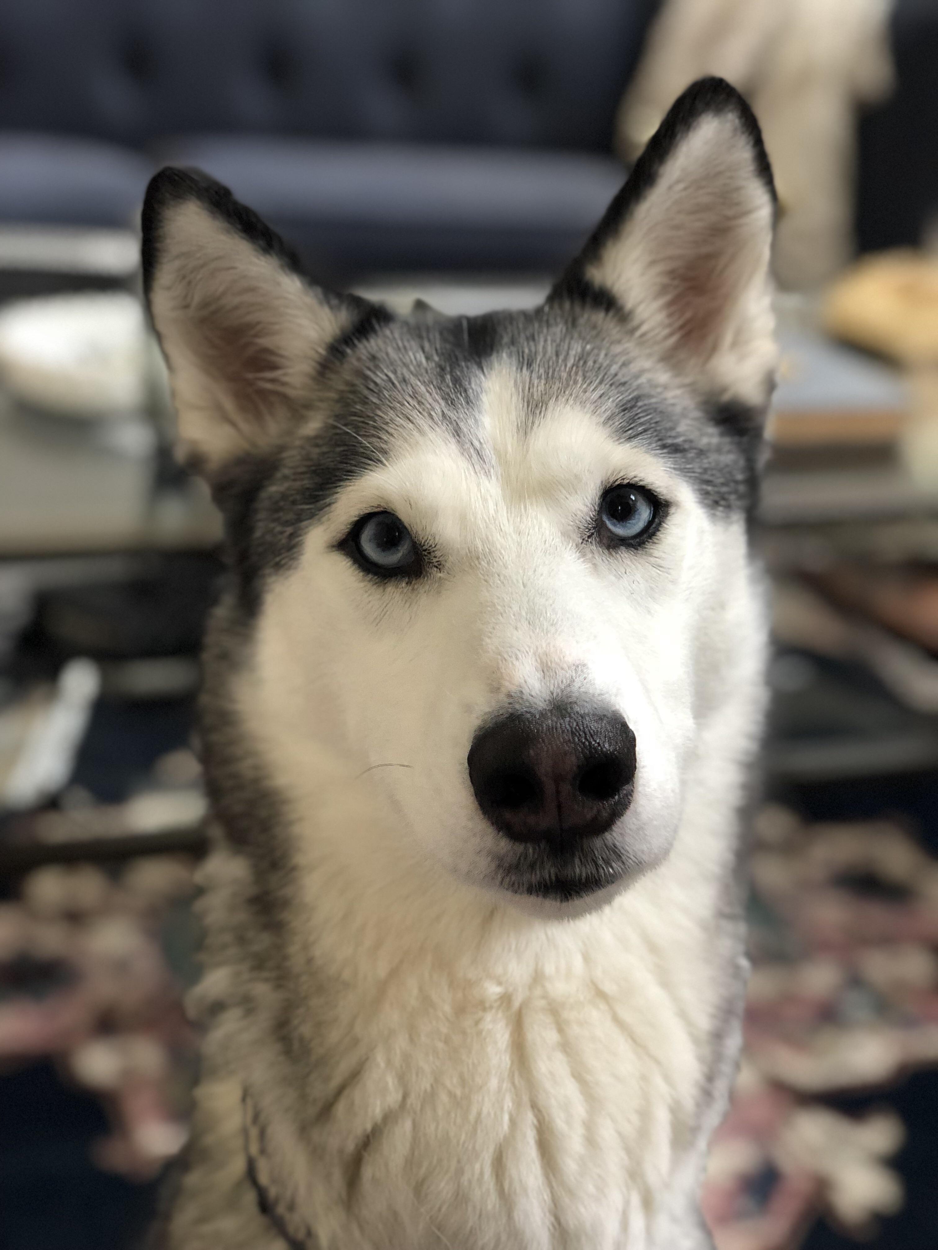 My little Nala-noodle | Scrolller