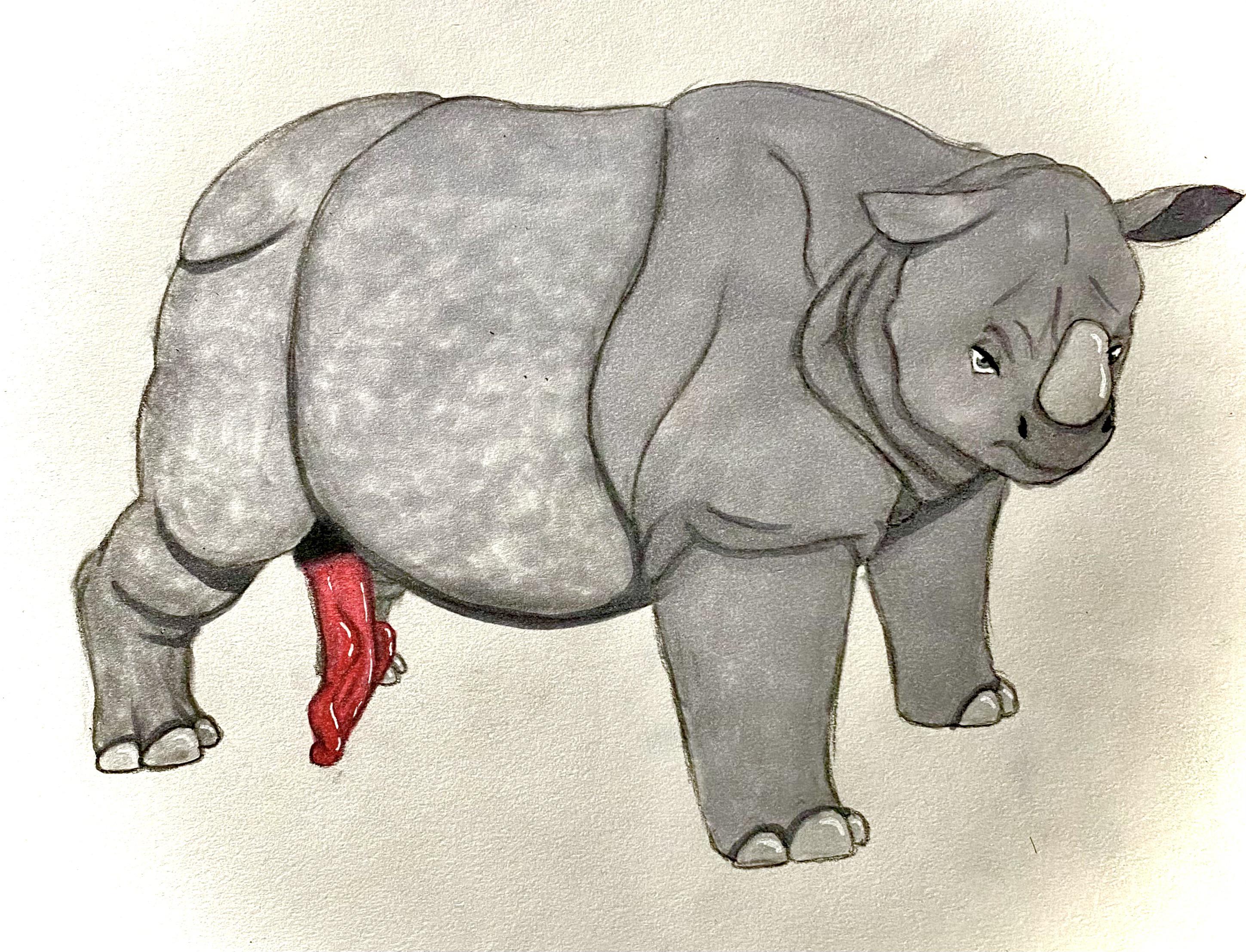 My marker kinda died… so enjoy a partial faded rhino 🦏 | Scrolller