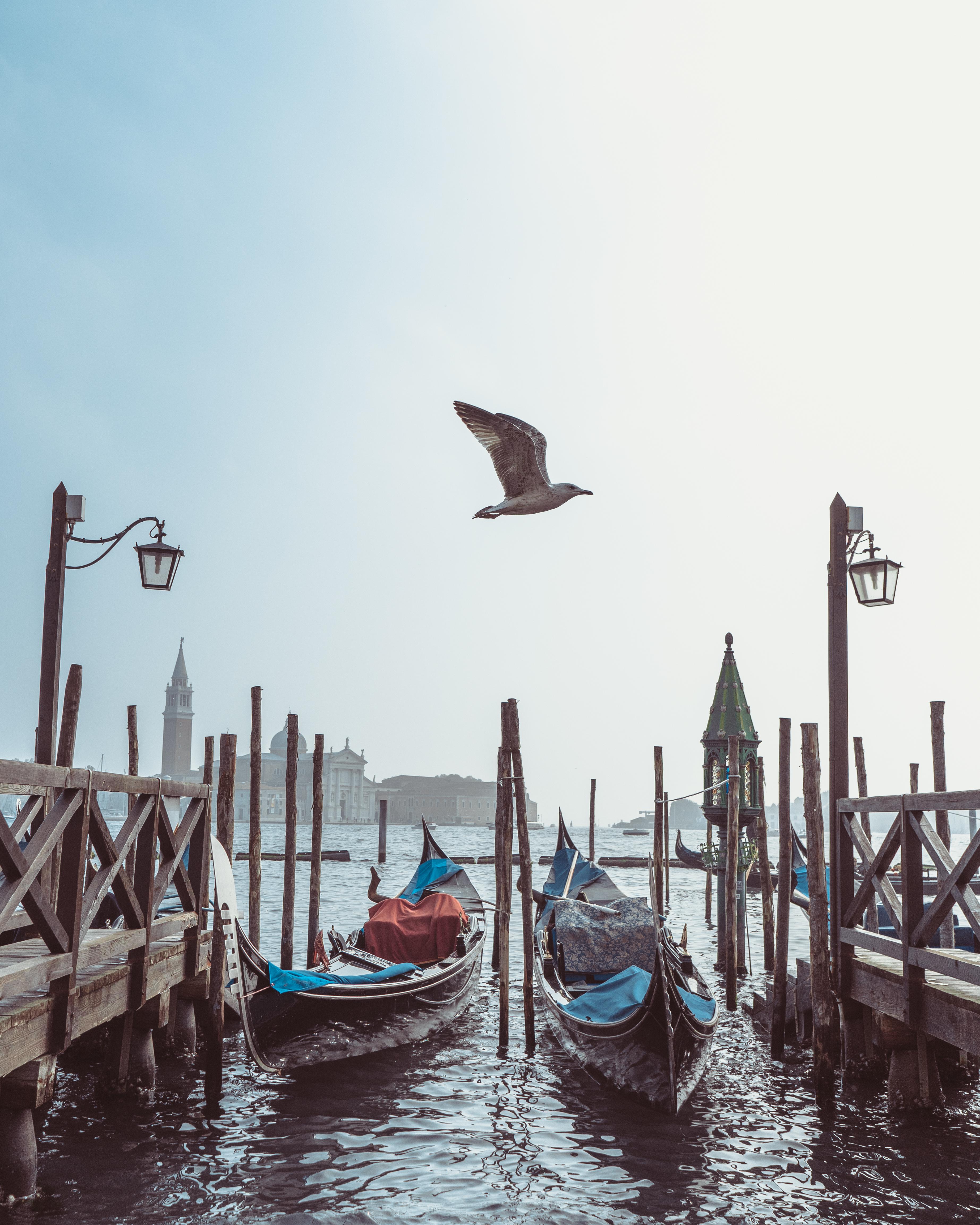 my perfectly timed photo from Venice - 2017 | Scrolller