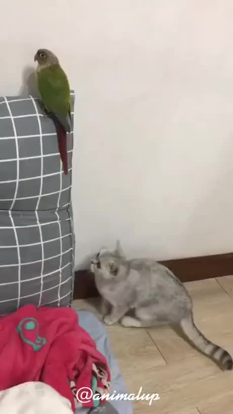 New paint !! | Scrolller