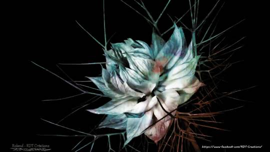 Nice Edging Scrolller