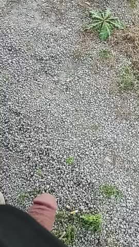 NSFW GIF by smiley1180 | Scrolller