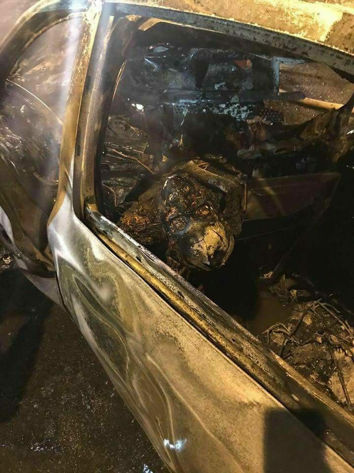 NSFW (gore) - Car crash | Scrolller