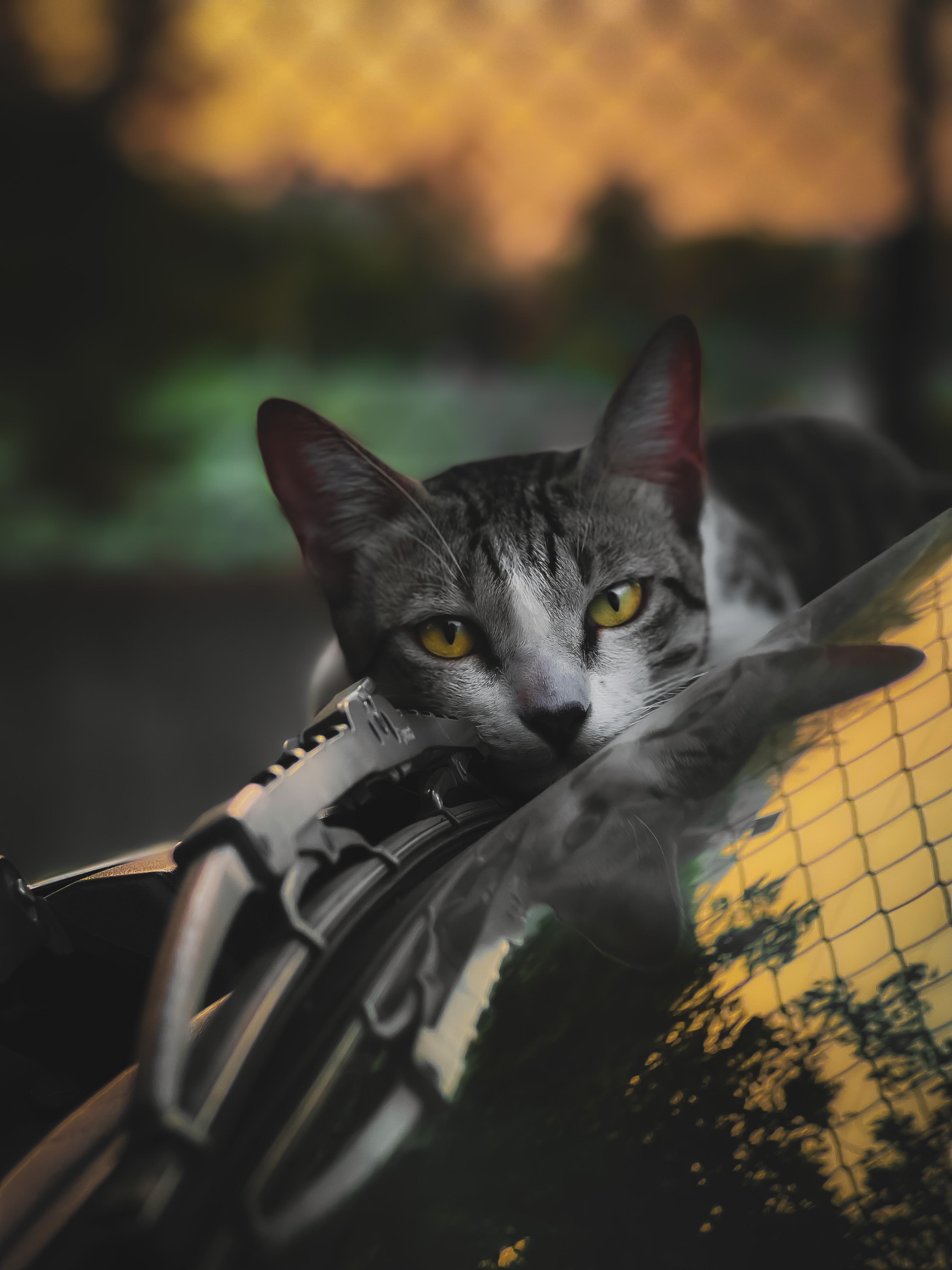 Our beautiful boy! | Scrolller