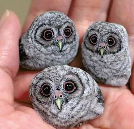 painted rocks | Scrolller