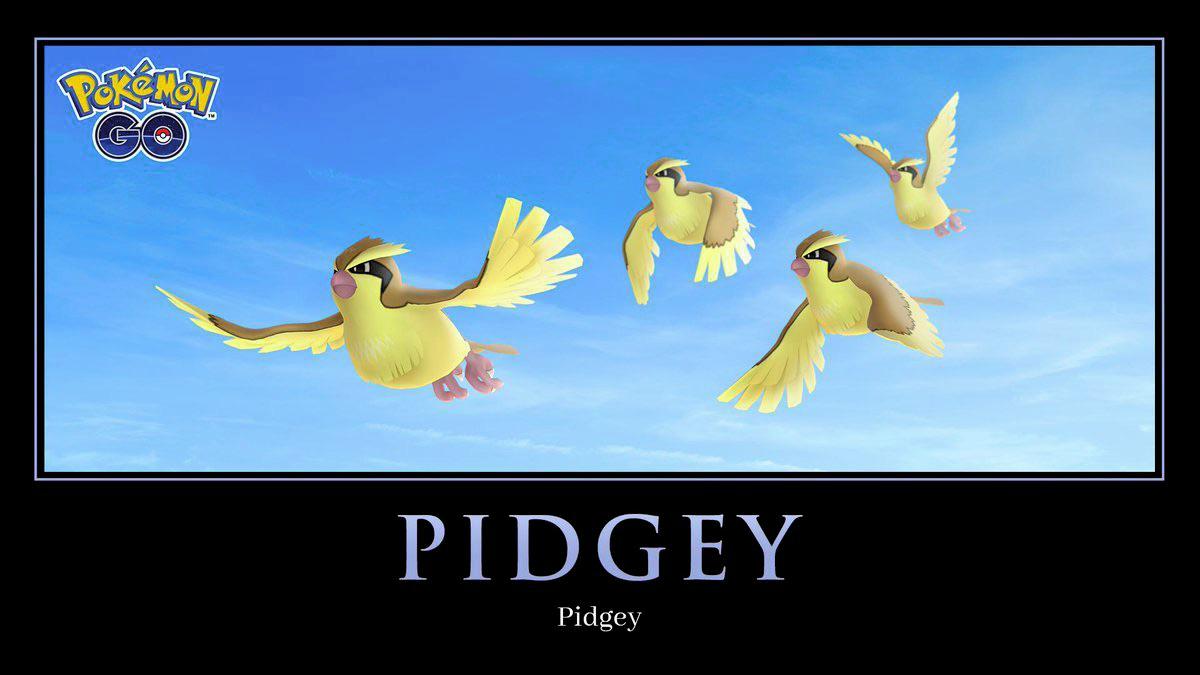 Pidgey | Scrolller