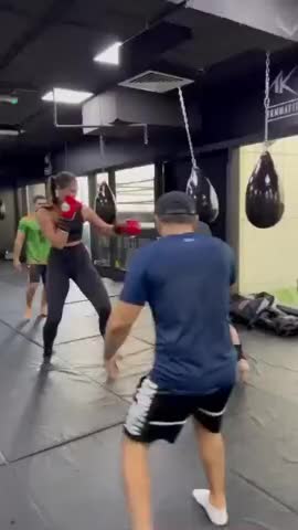 Playful sparring session. | Scrolller