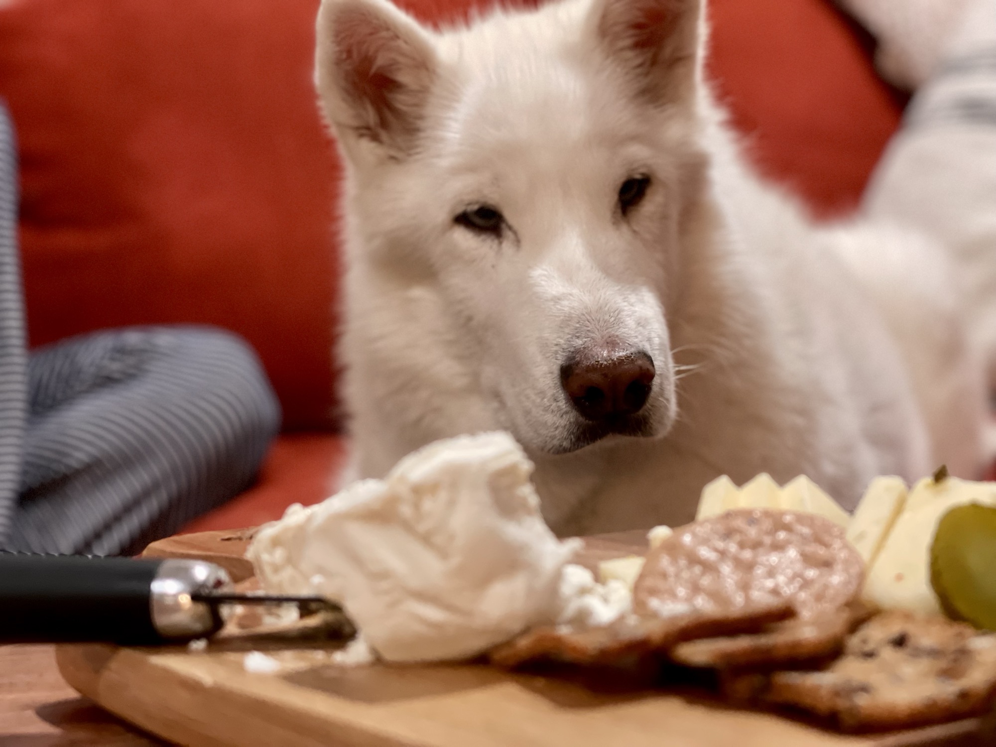 Please father | Scrolller