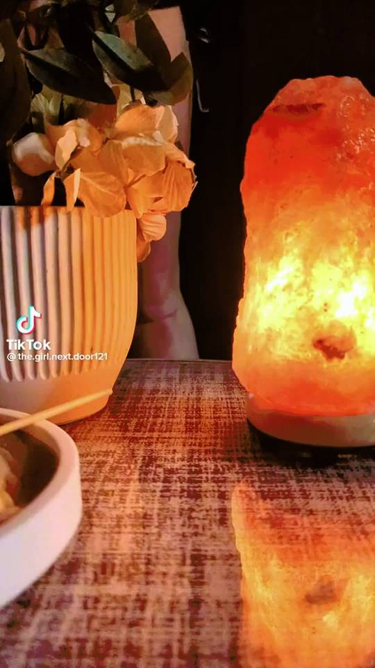 Pussy in the plant | Scrolller