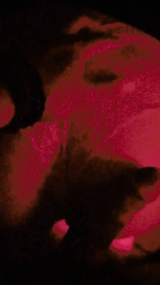 Red light special | Scrolller