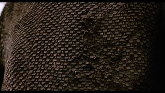 Roxanne Kernohan in Critters 2. It was a pretty good topless scene for a PG-13 movie. (1988 ...