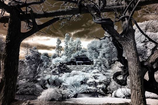 Sentinels | Scrolller