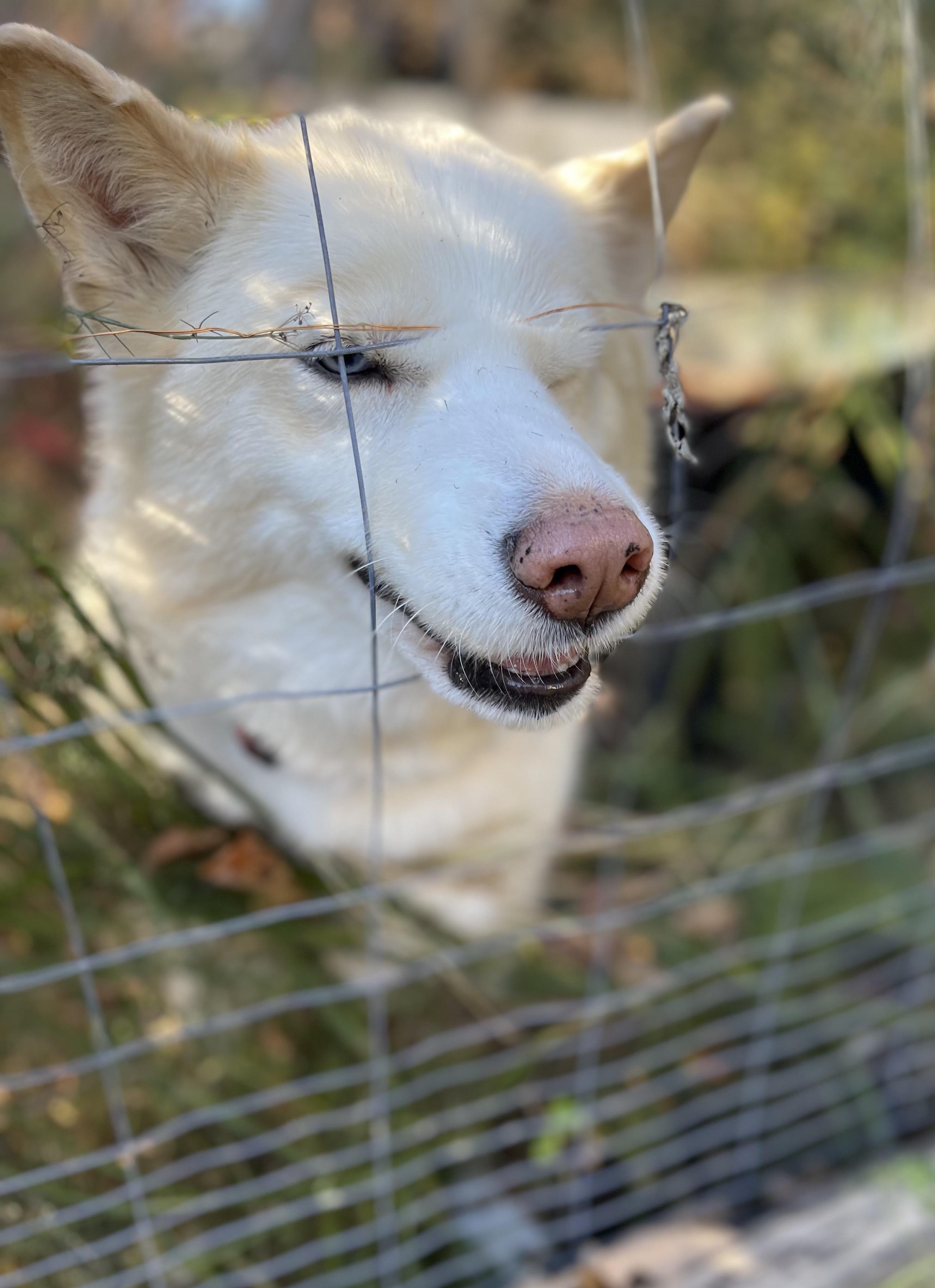 she’s my very special derp | Scrolller