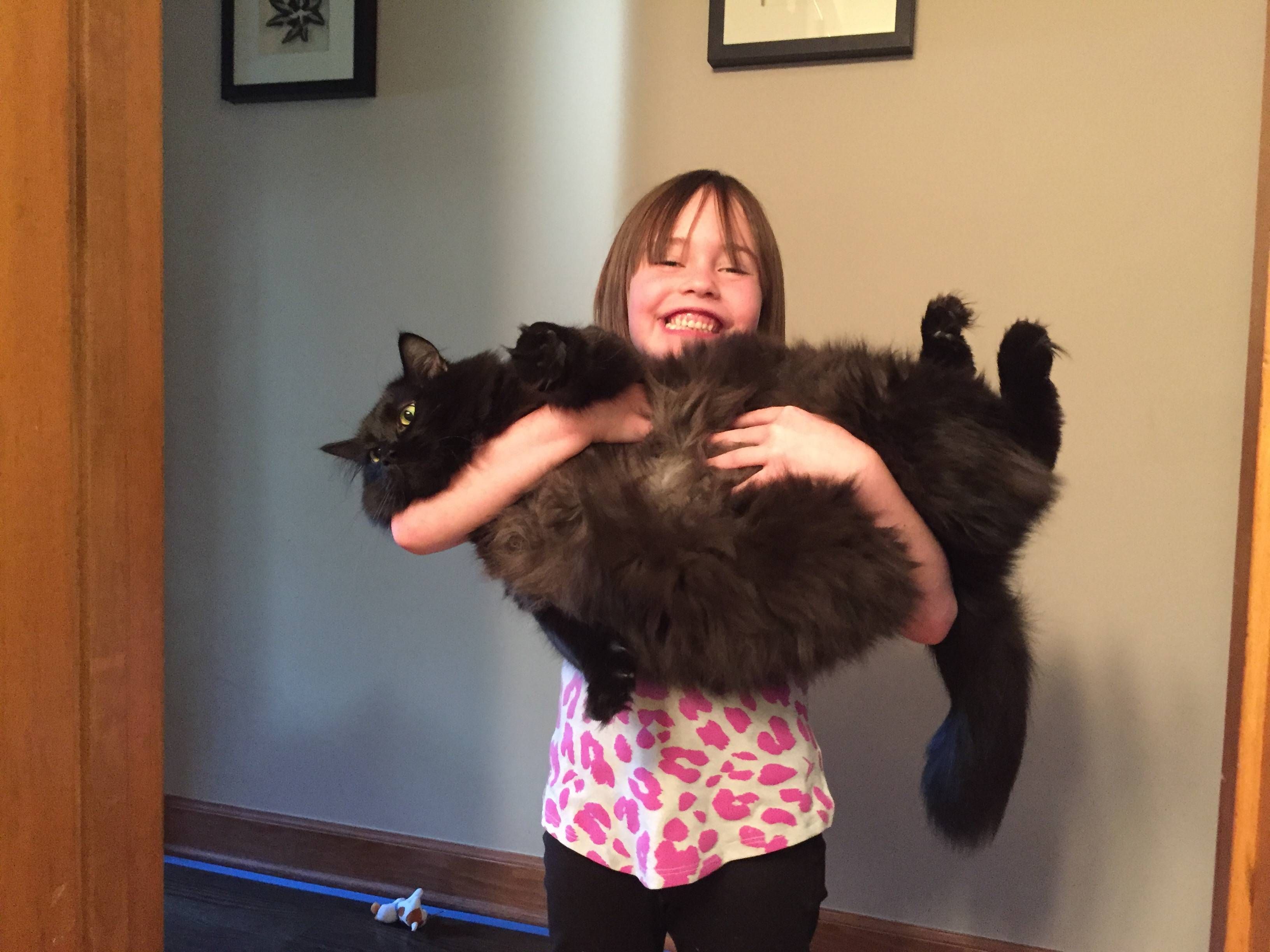 She’s so sweet and beautiful | Scrolller