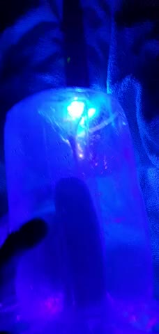 shosu sph | Scrolller