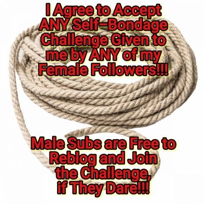 Sissy accepting self bondage challenges | Scrolller