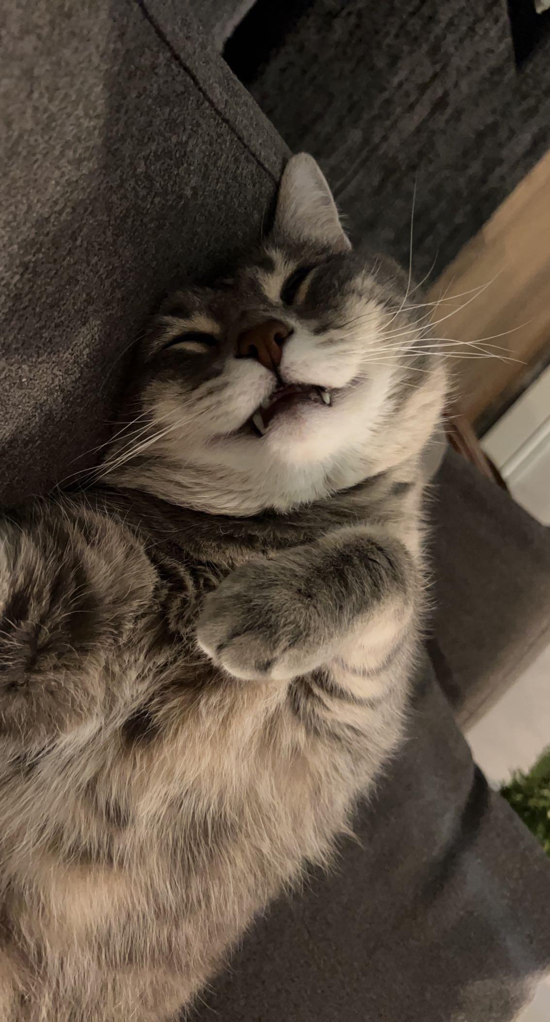 sleepy boy | Scrolller