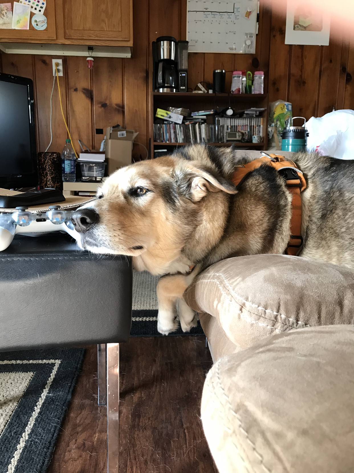 Small Bridge Scrolller