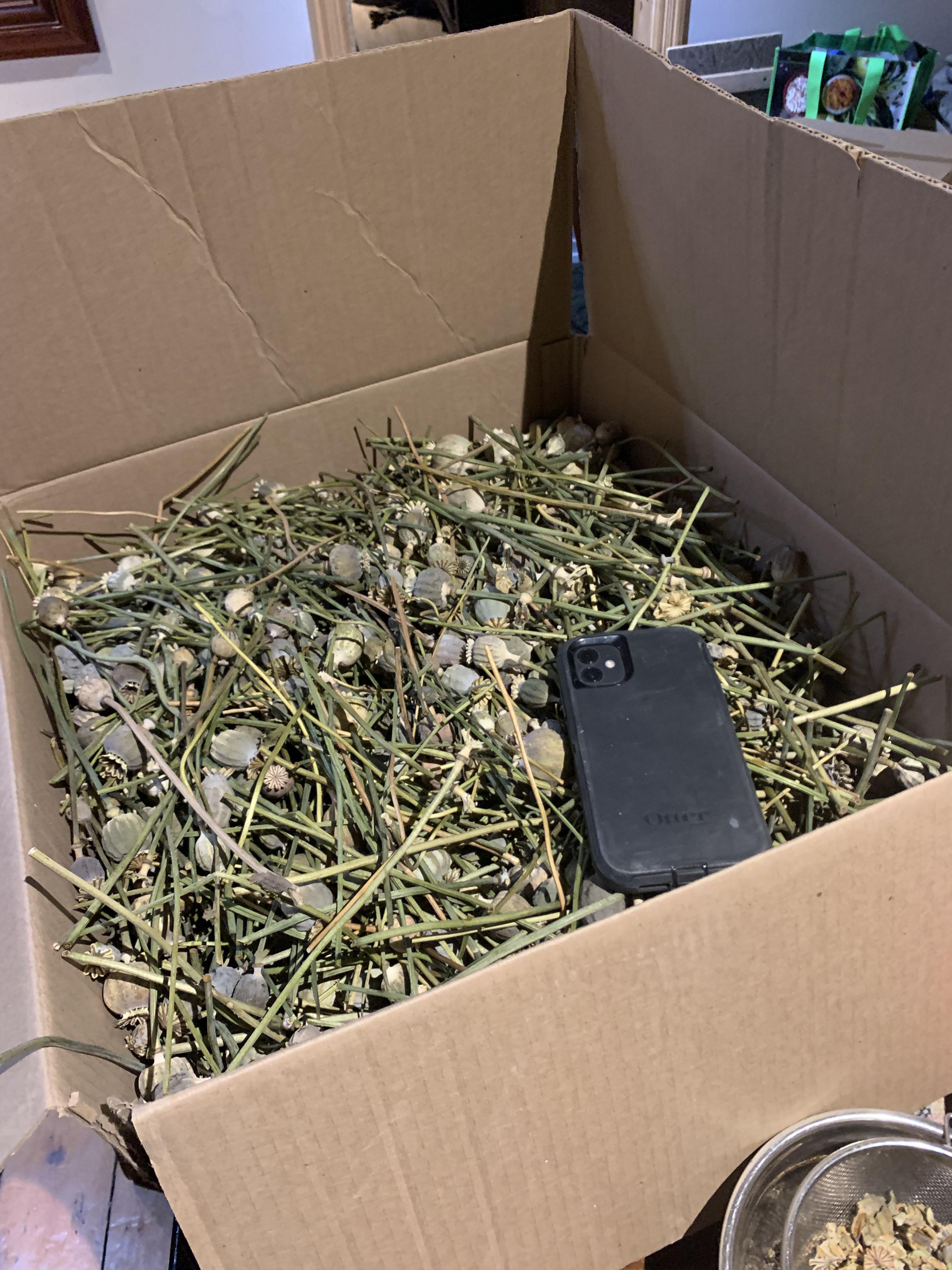 Soooo. Ya | Scrolller