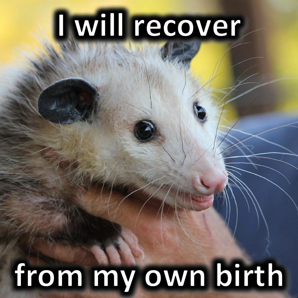 Spreading positivity by sharing my personal daily affirmations | Scrolller