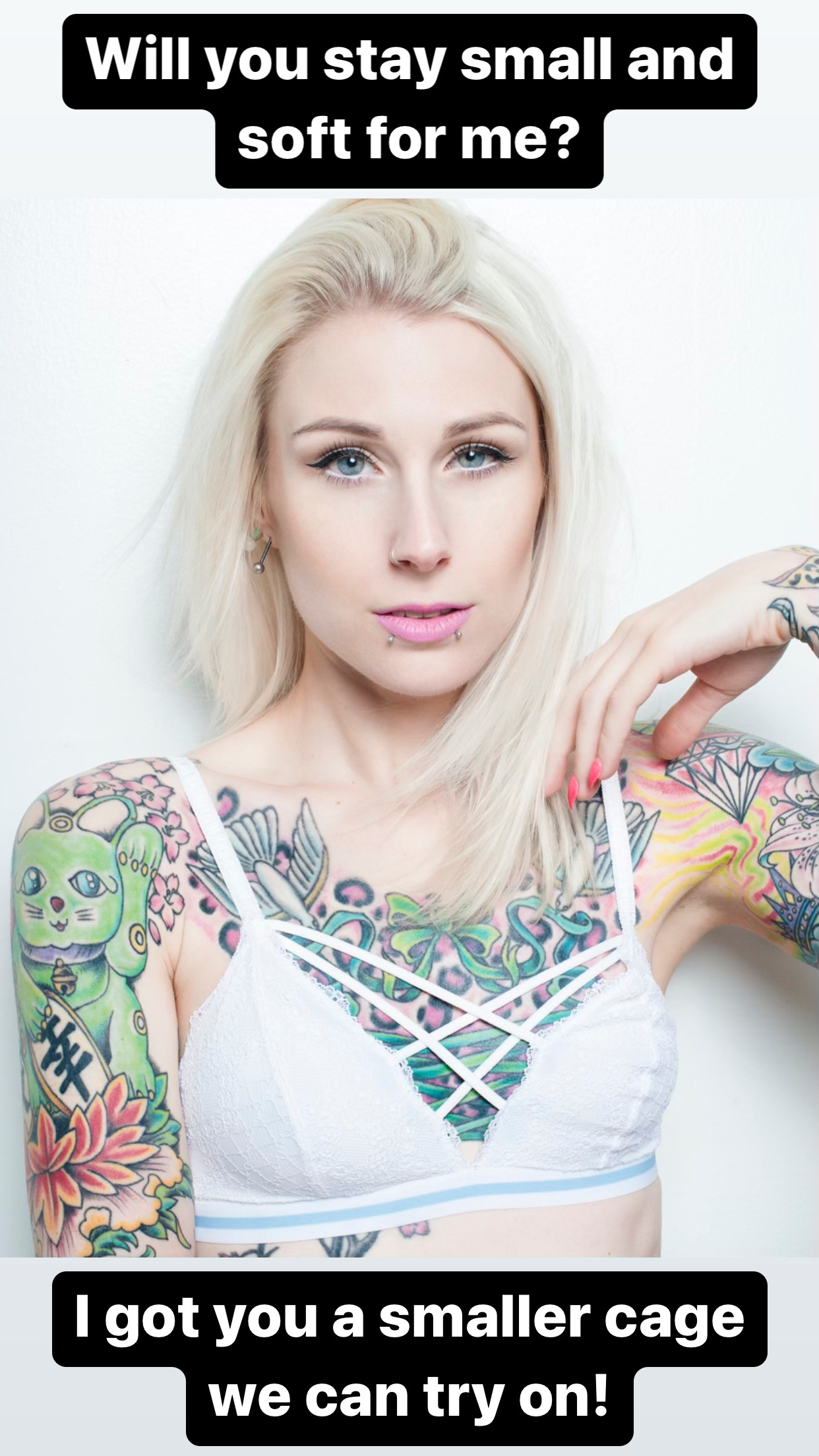 Stay small, little pets! | Scrolller