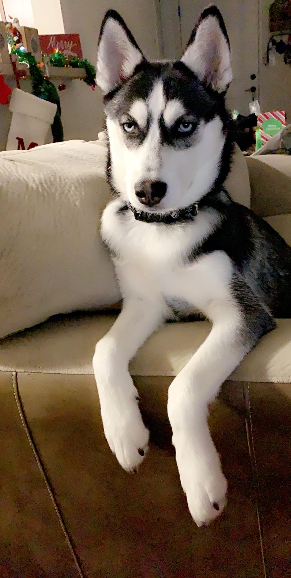 Stella Bean 💕 | Scrolller