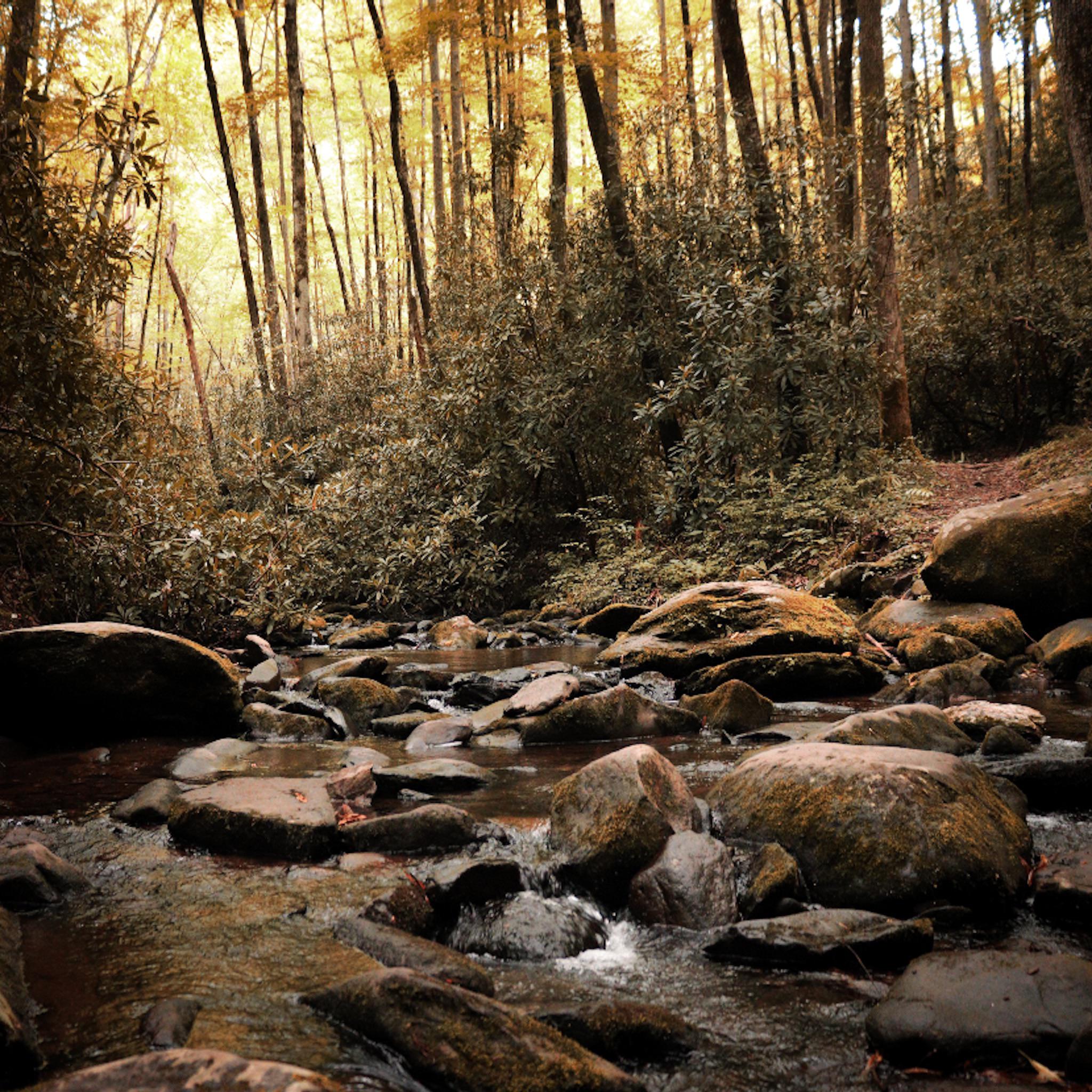 Stony river | Scrolller