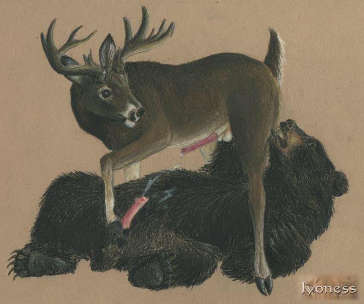 “Teasing the bear” | Scrolller