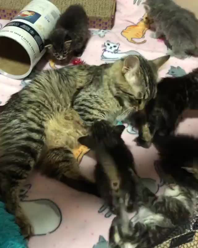 That look was a cry for help | Scrolller