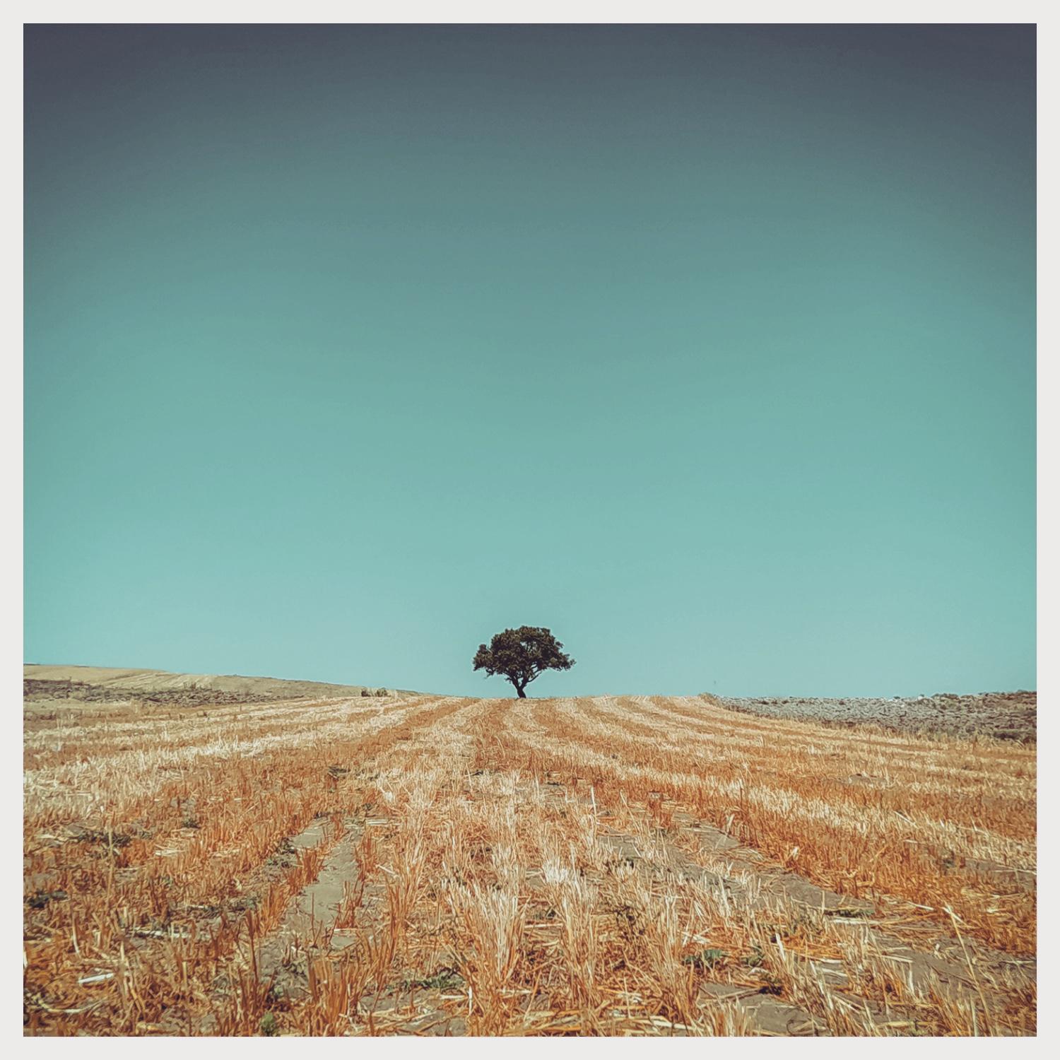 The Abandoned | Scrolller