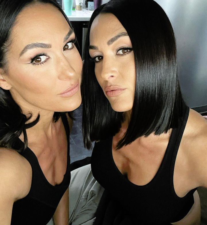 The Bella Twins | Scrolller