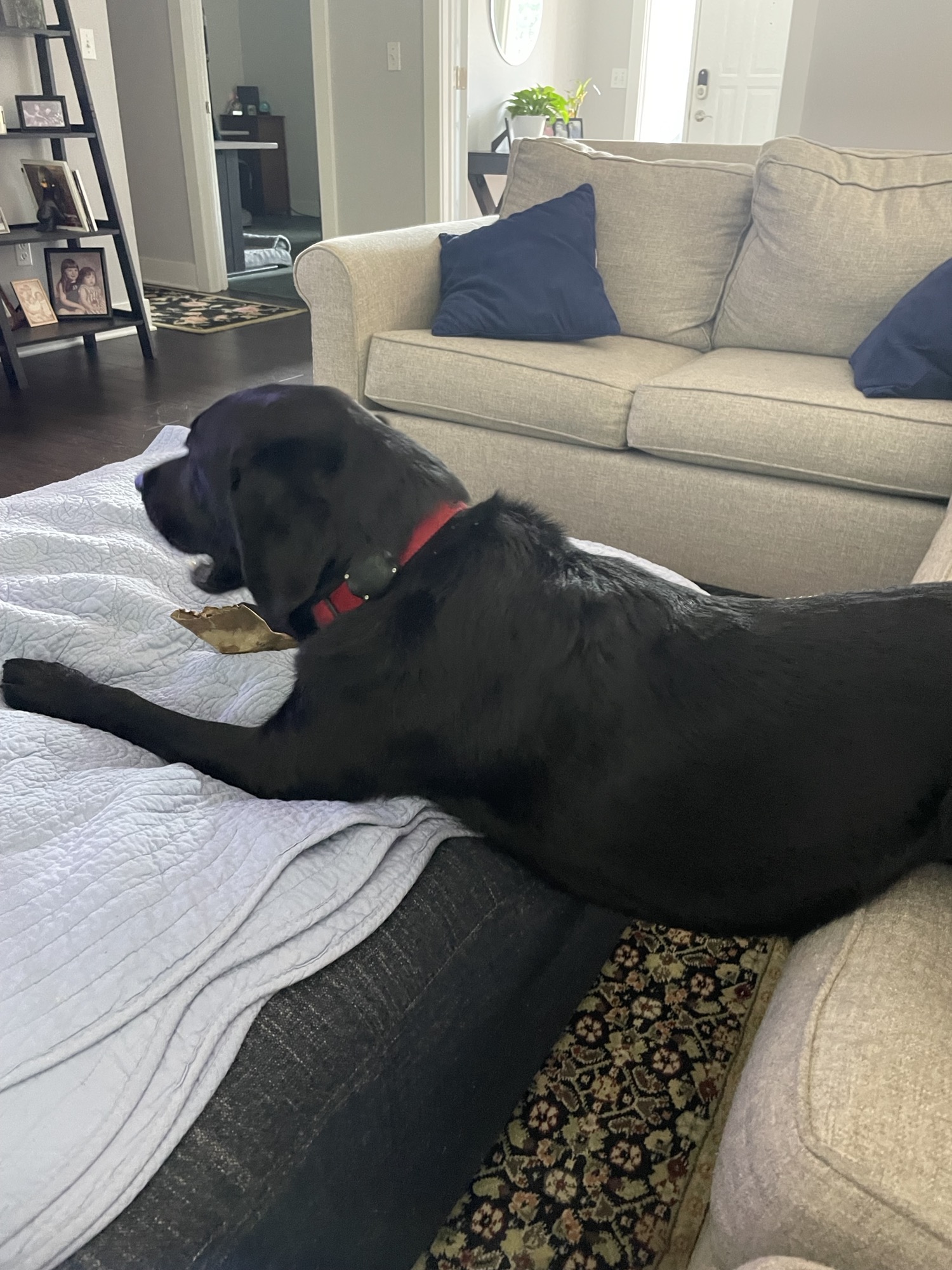 The bridge of Ted | Scrolller