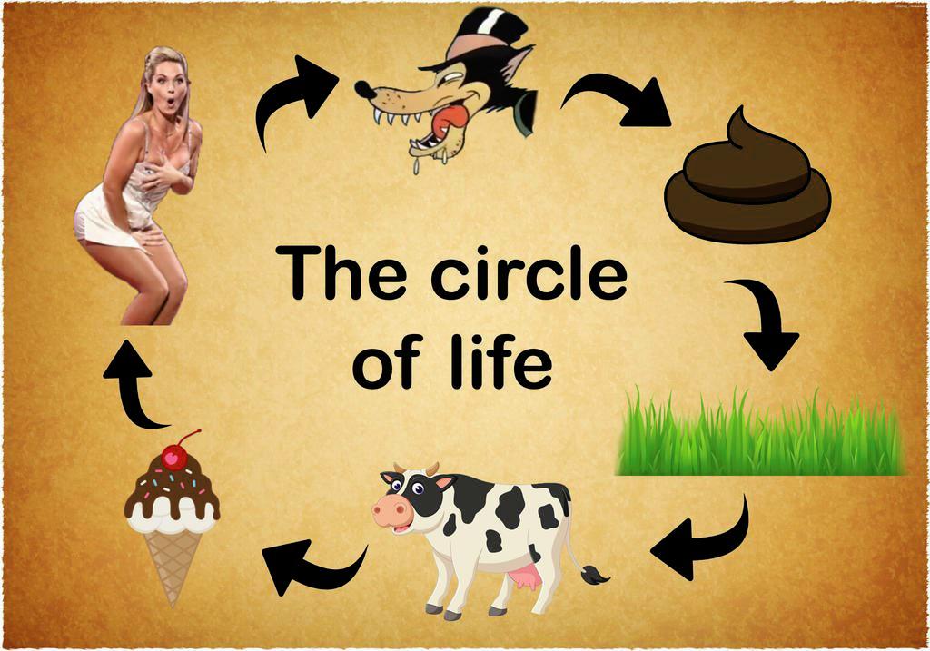 The circle of life | Scrolller