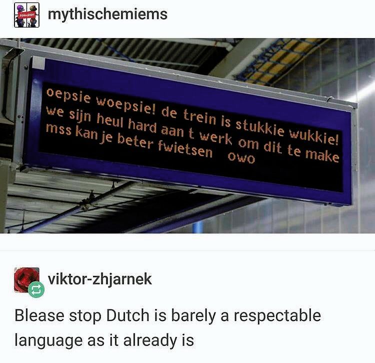 The Dutch language is ruined | Scrolller