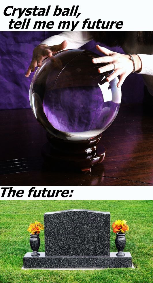 The future is inevitable | Scrolller