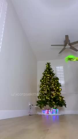 The Grinch (KorpseKitten) [How the Grinch Stole Christmas] | Scrolller