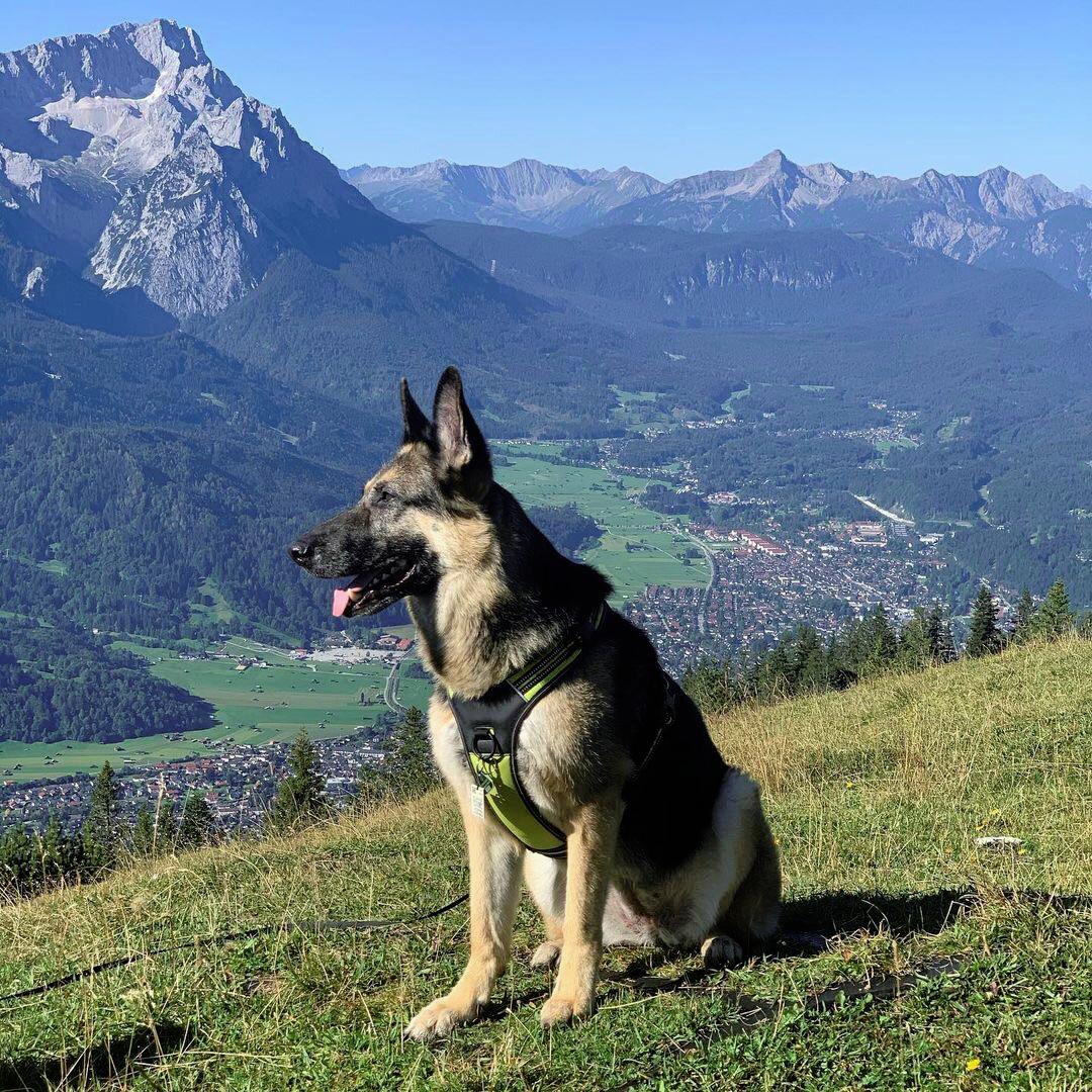 The high ground | Scrolller