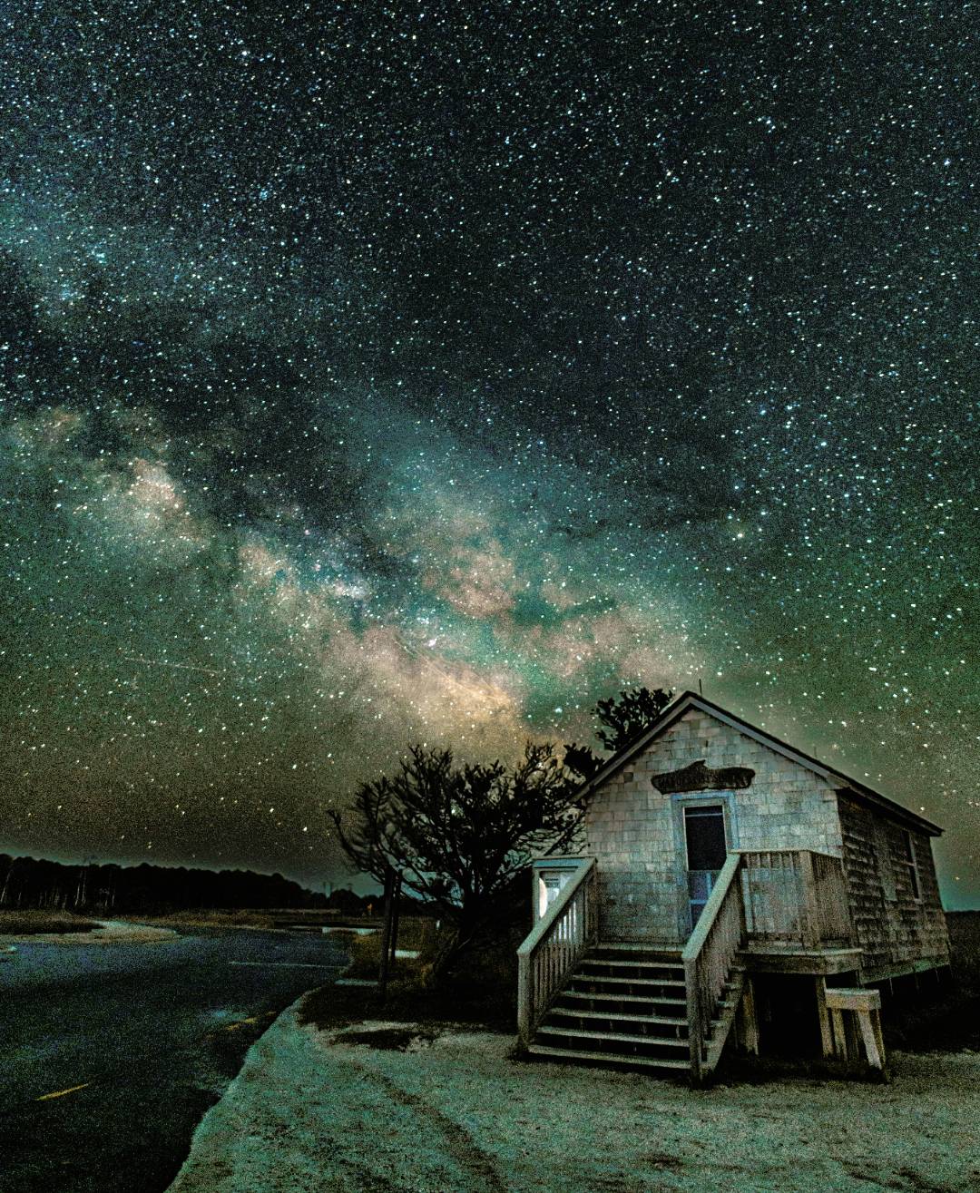 The Naturalist Shack | Scrolller