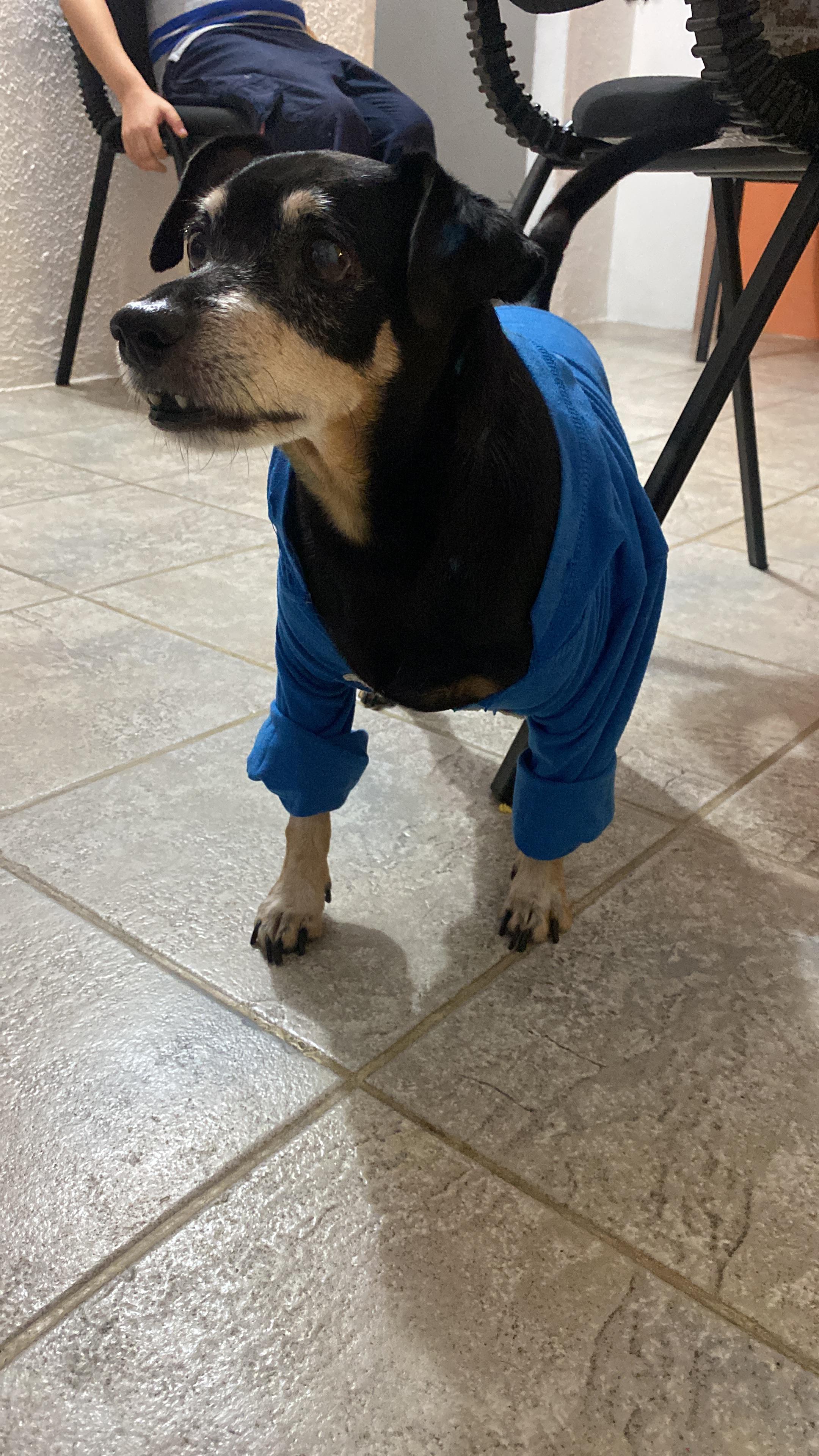 the sleeves had to be folded because it is so small | Scrolller