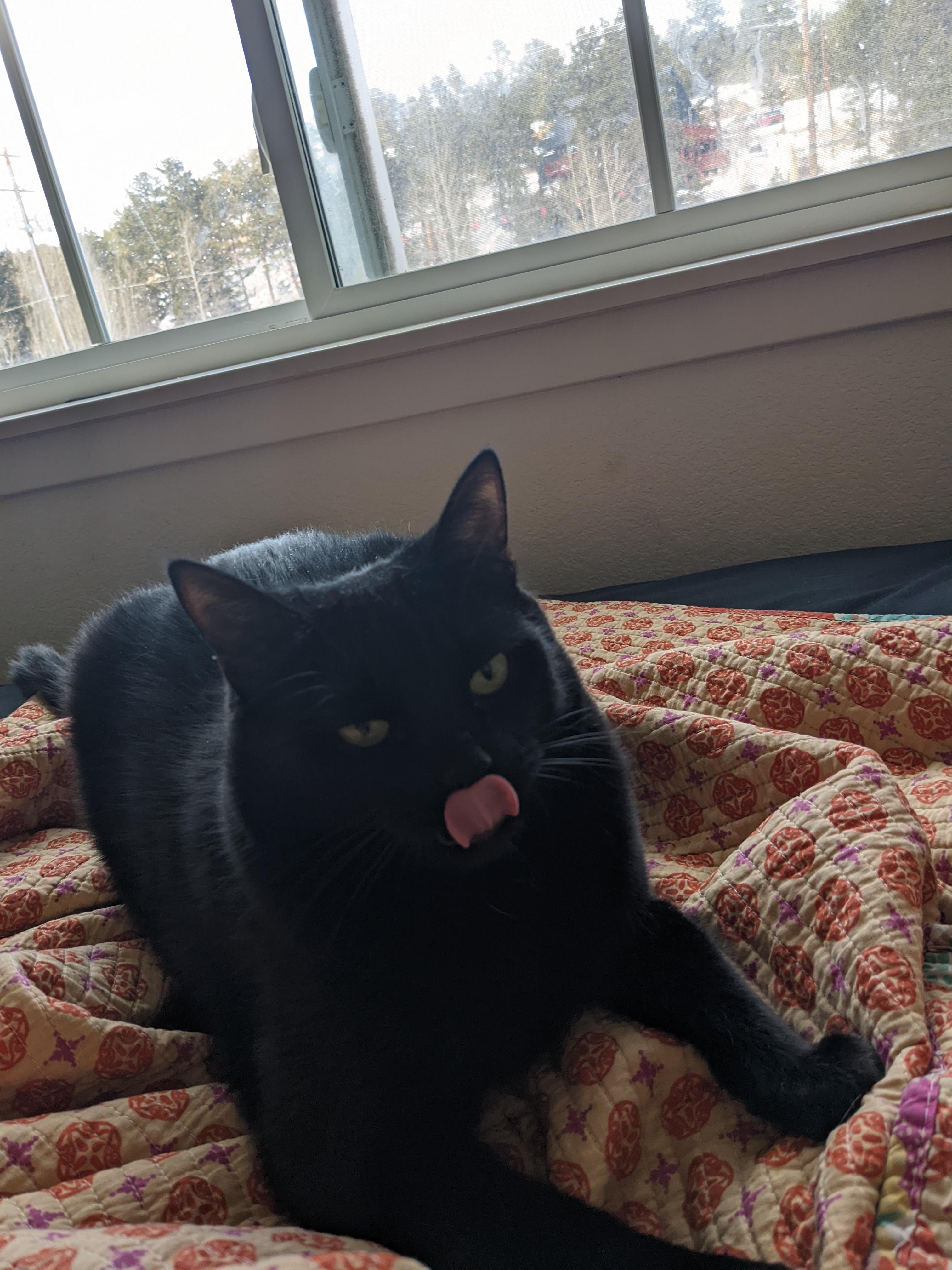 the void goes blep. | Scrolller