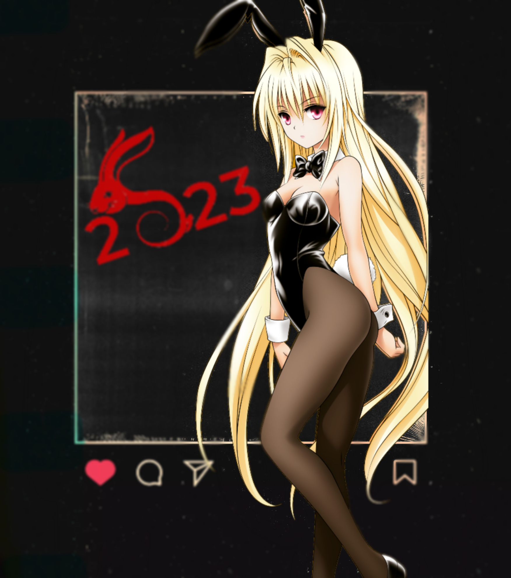 the year of the rabbit | Scrolller