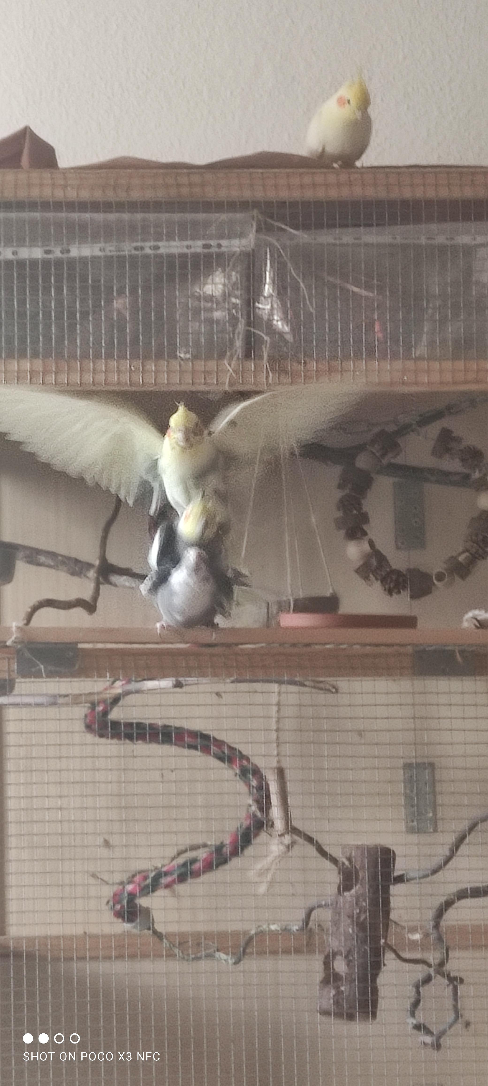 they stack | Scrolller