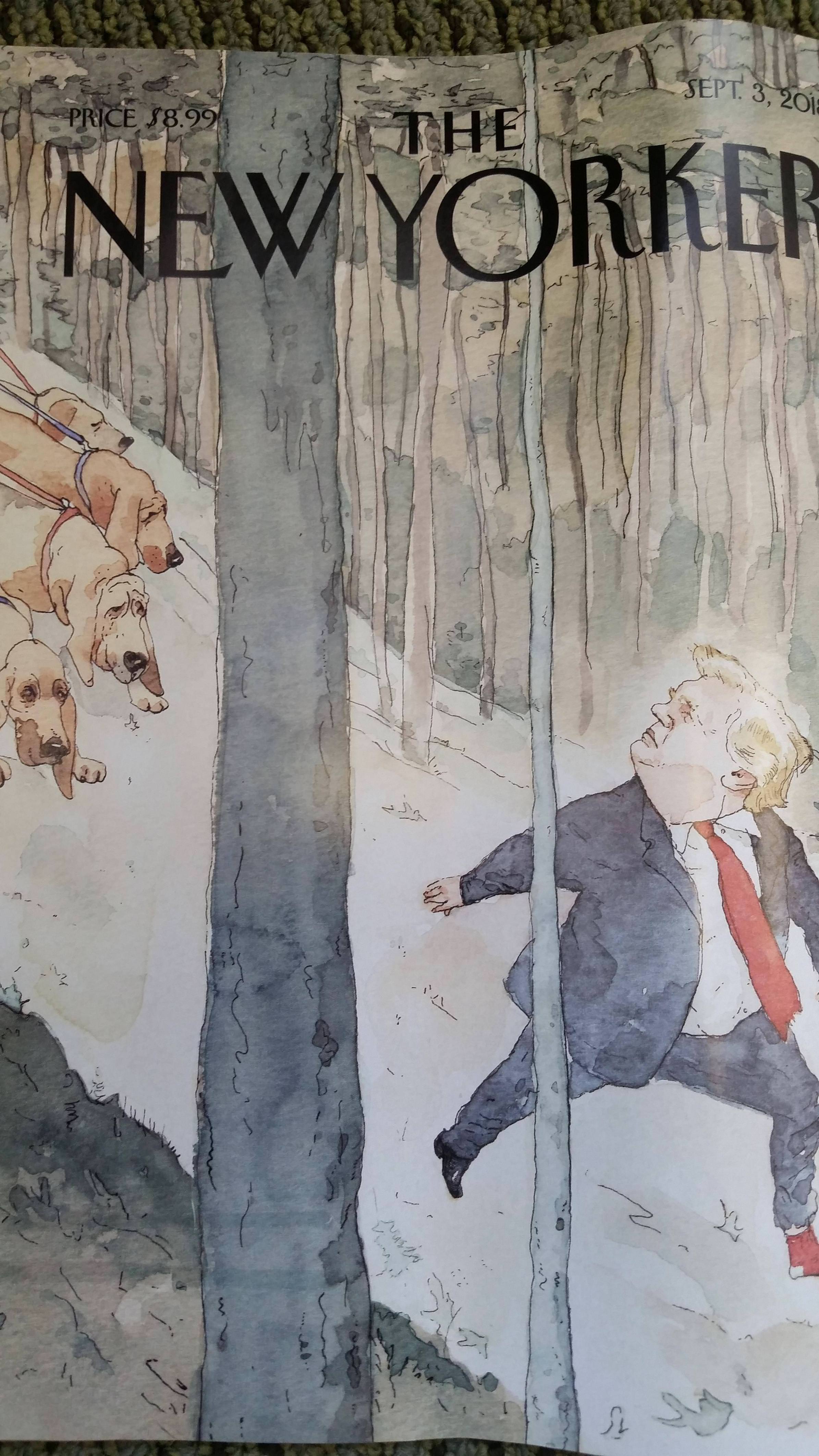 This is about right. | Scrolller