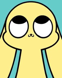 this is the only photo showing a different position of Chikn's eyes | Scrolller