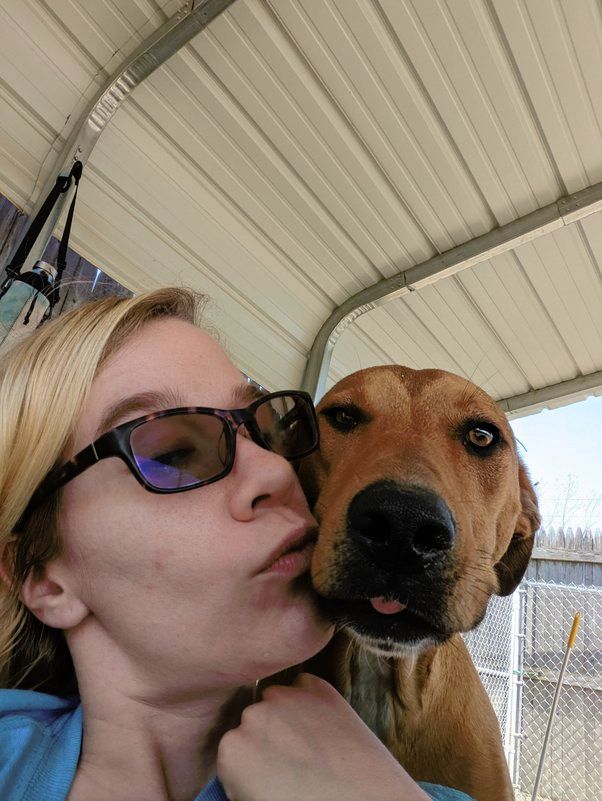 This is Tommy my boy | Scrolller