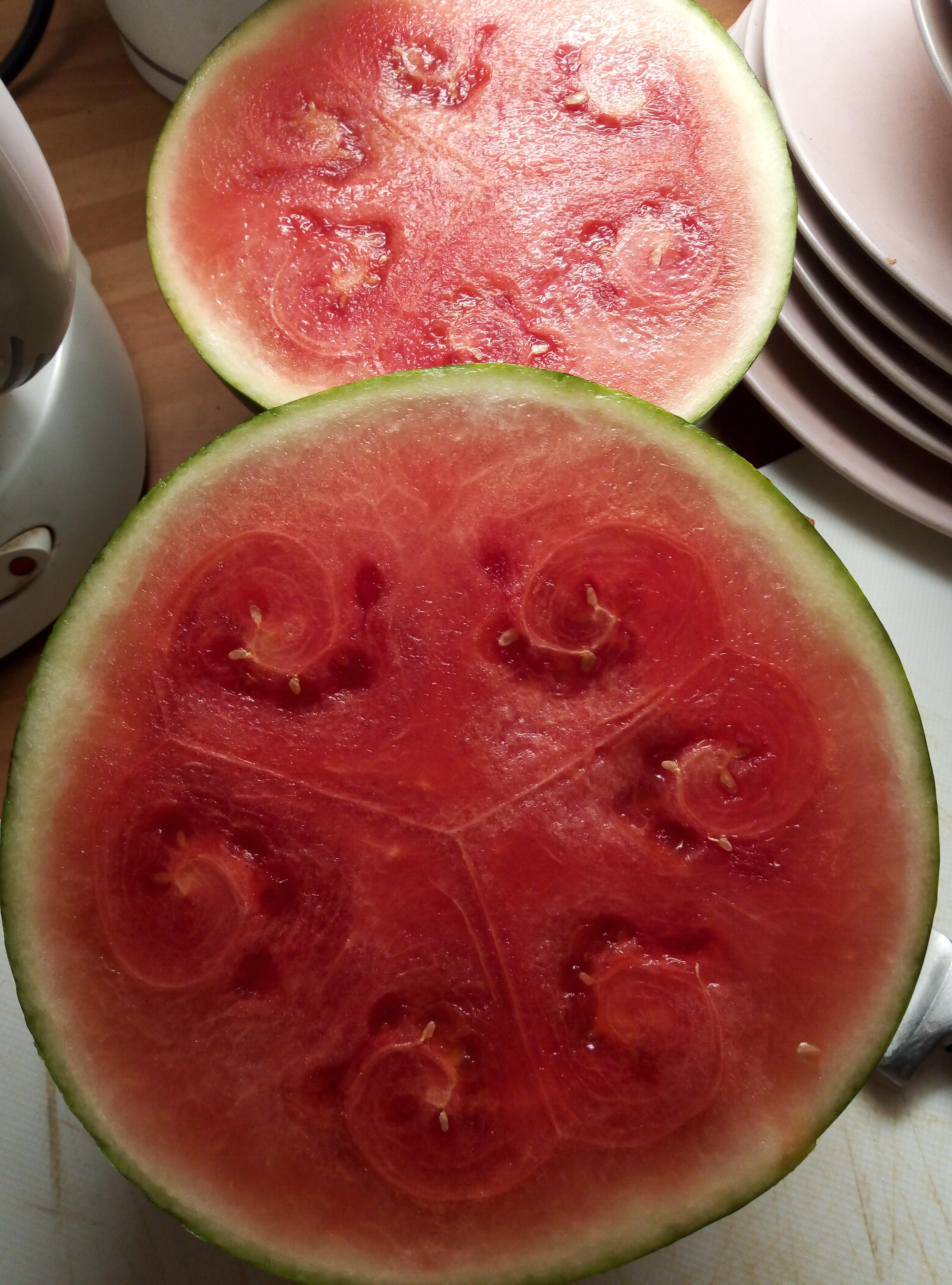 This Pattern in my Watermelon | Scrolller