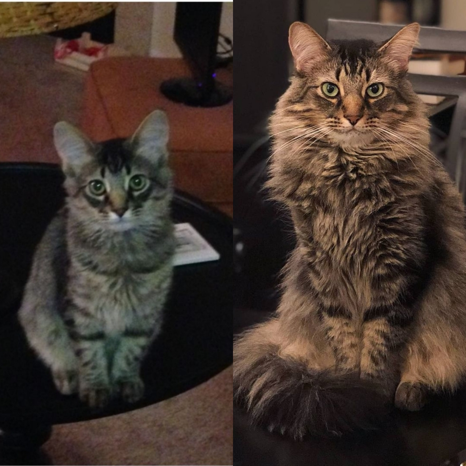 Tiny Sam from 4 months to 8 years! | Scrolller
