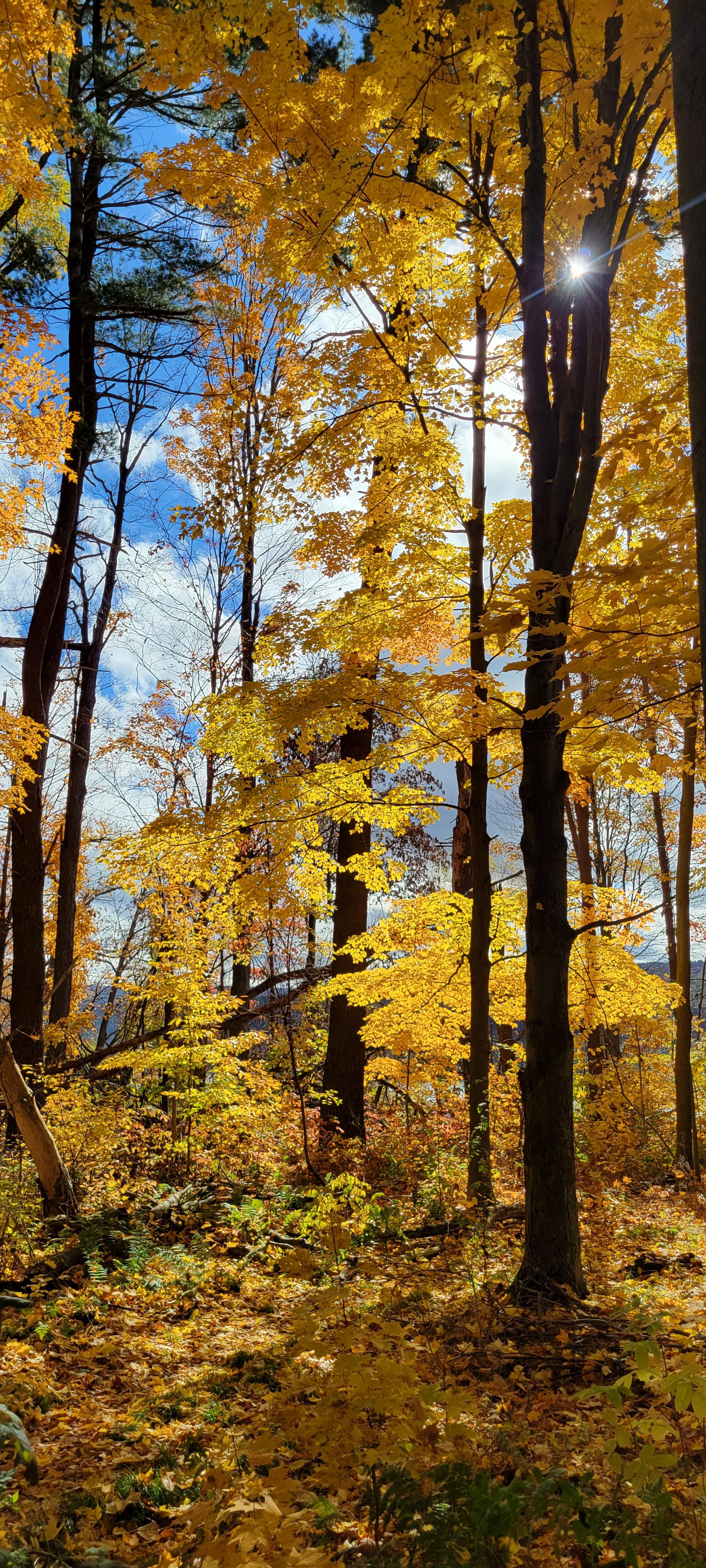 Upstate NY 2022 (OC) | Scrolller