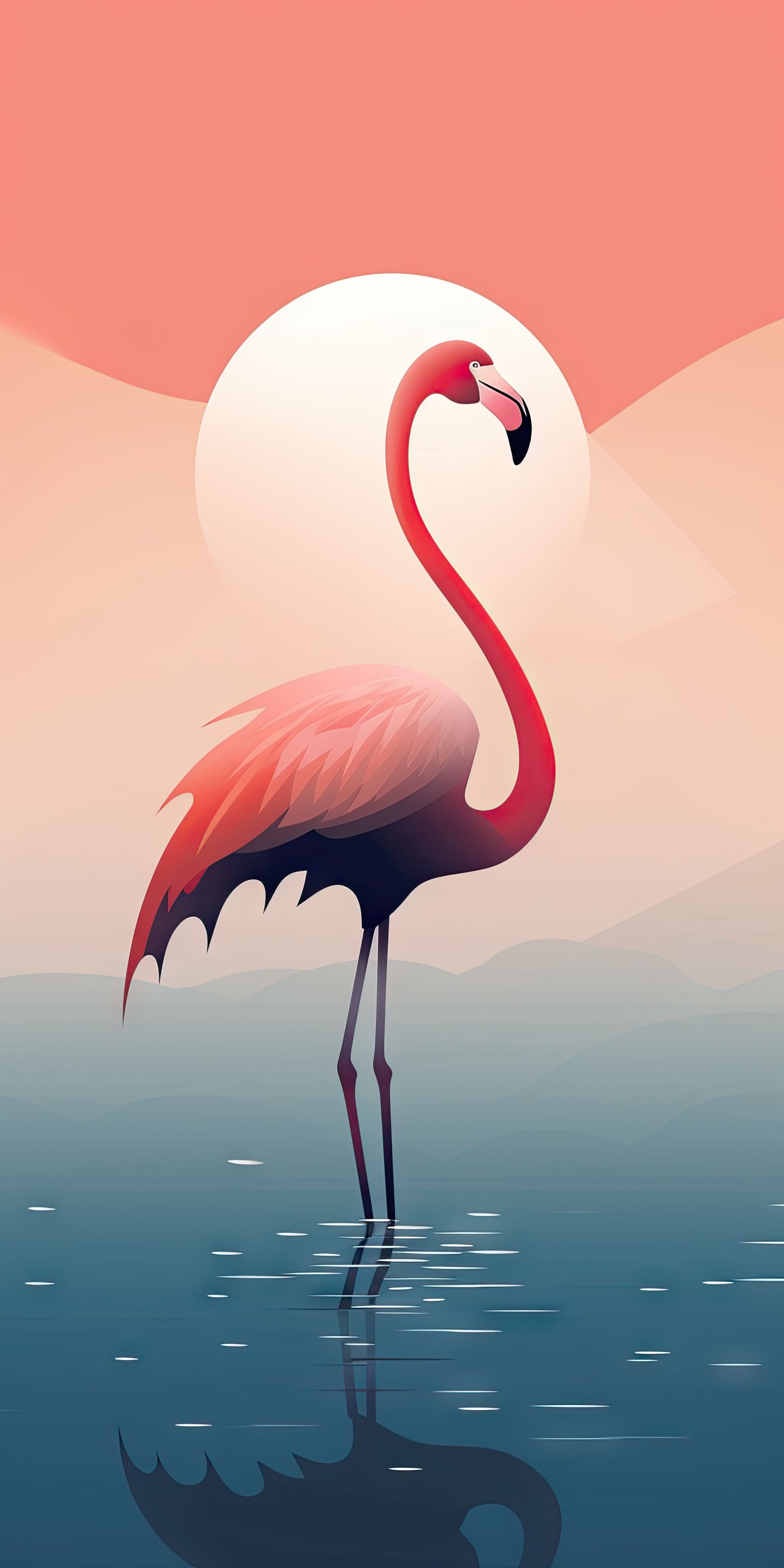 Vector Flamingo (by Wallpop) | Scrolller