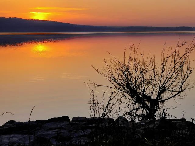 very different | Scrolller